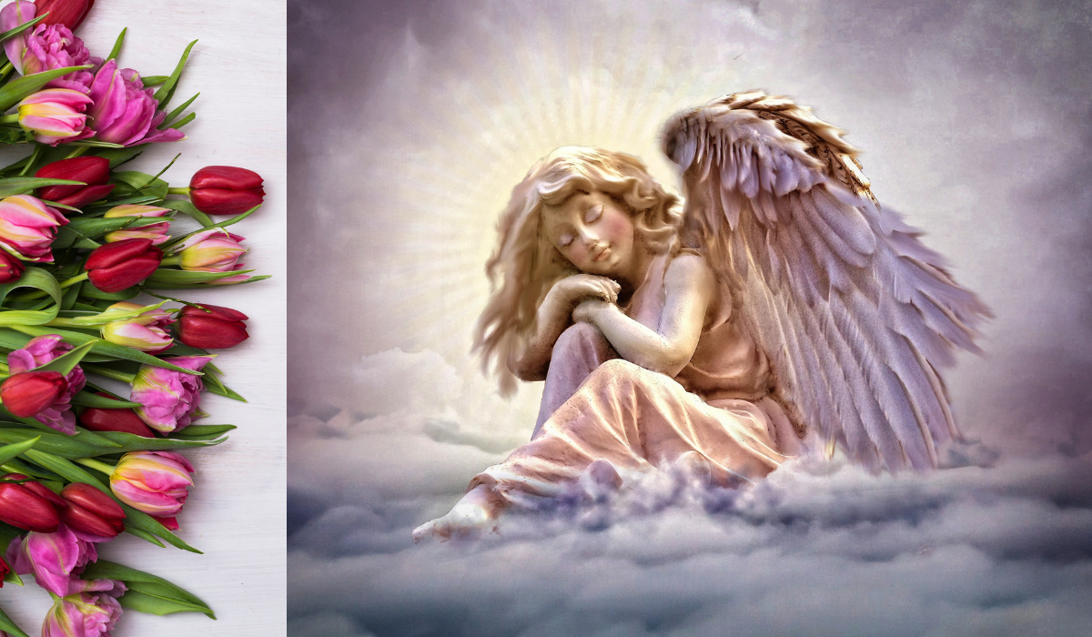 Így vonzhatsz be angyalokat az életedbe, virágok segítségével! - Facts